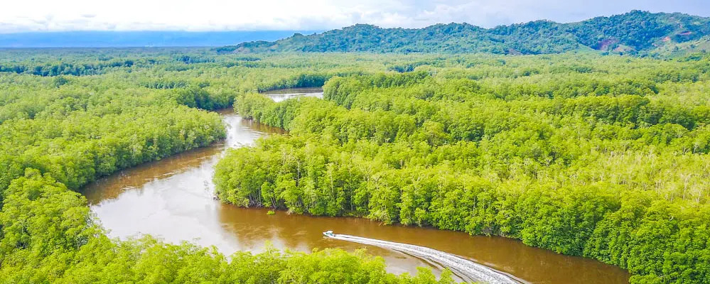 sierpe wetlands aerial views 25