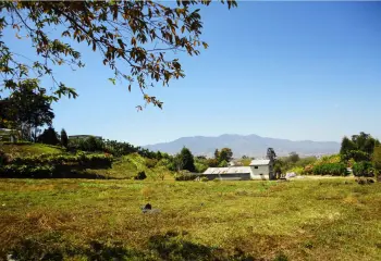 Residential Development Potential Land for Sale