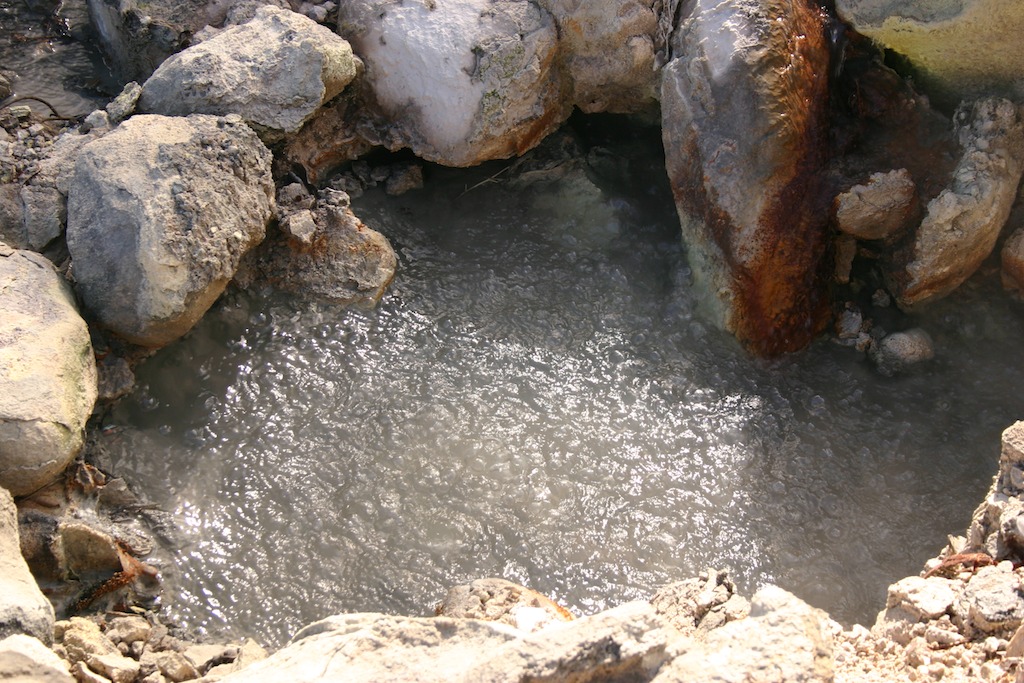 Boiling Water Hot Spring at Miravalles