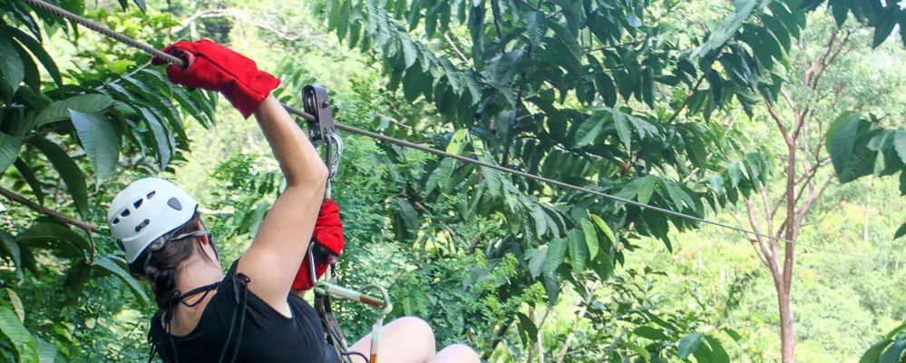 Canopy Tours