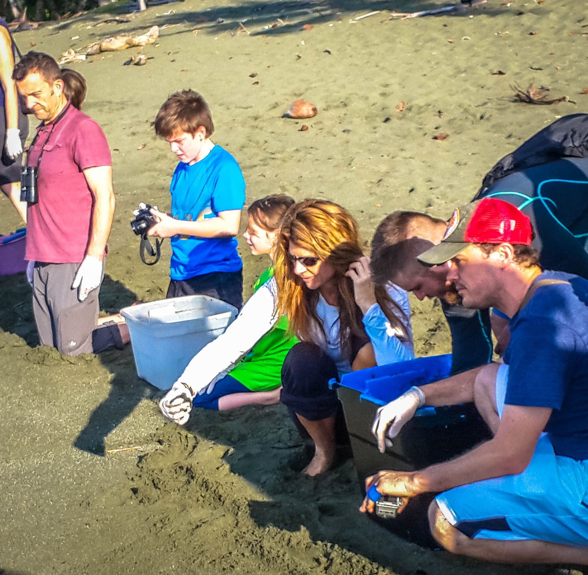 Releasing Baby Turtles Turtle Hatching At Piro Beach Costa Rica