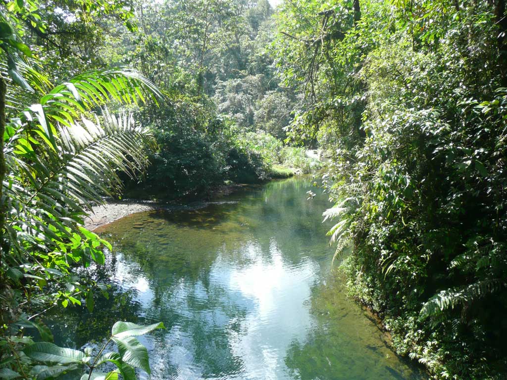 River near Braulio Carrillo National Park