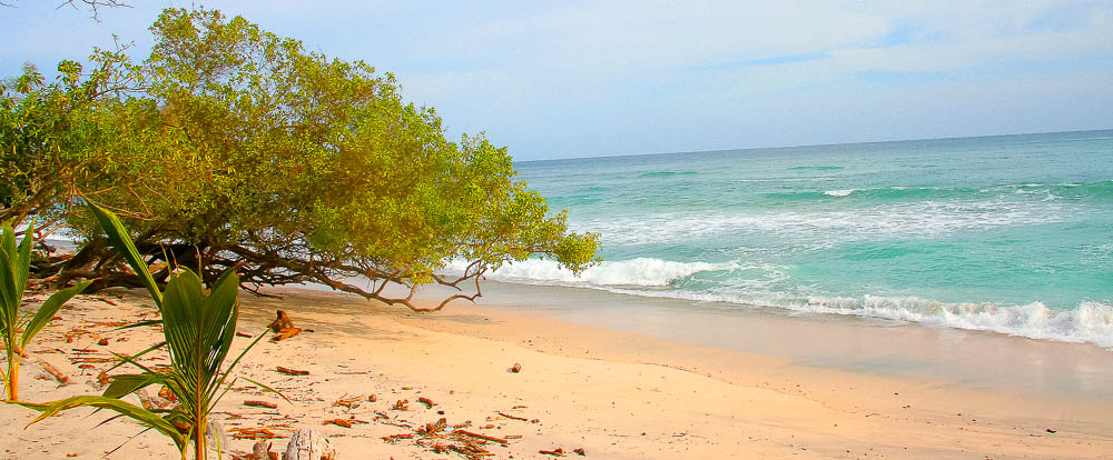 Playa Rosada