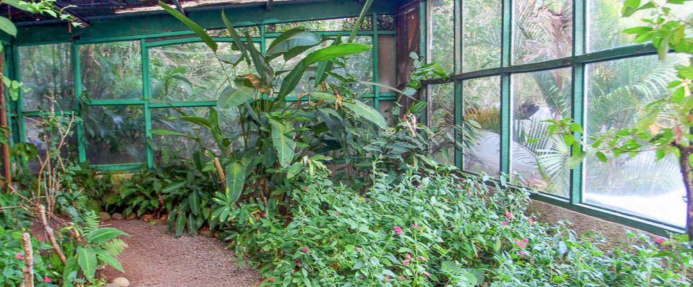 Monteverde Butterfly Garden